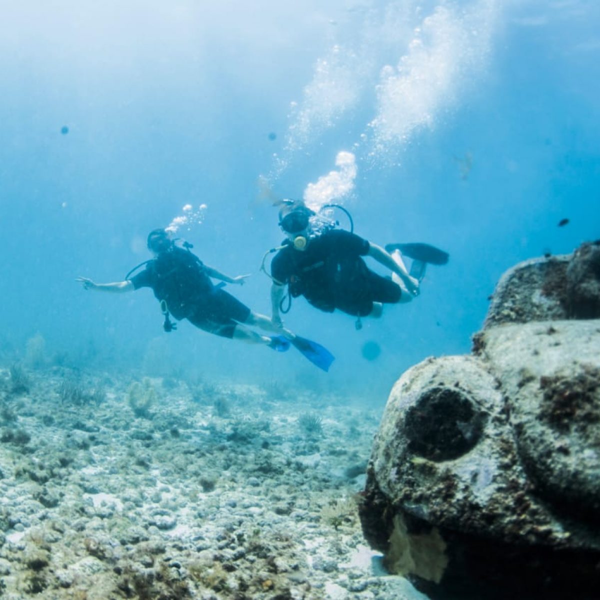 LEARNING TO SCUBA - Scuba Diving Cancun